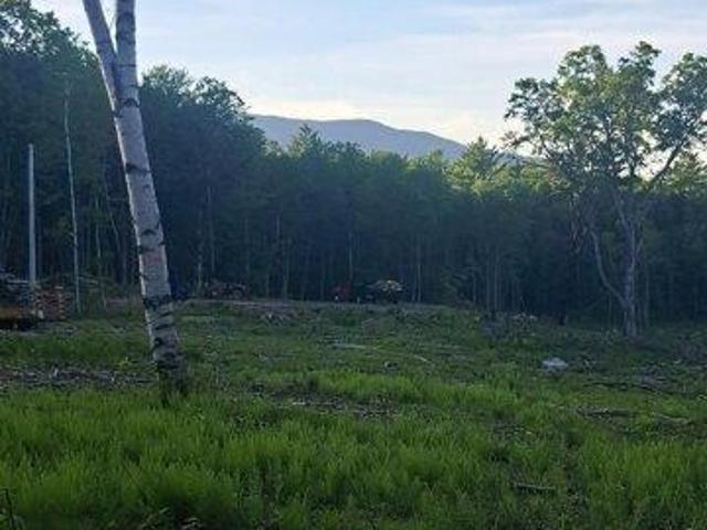 Jaffrey NH 03452 104870083
