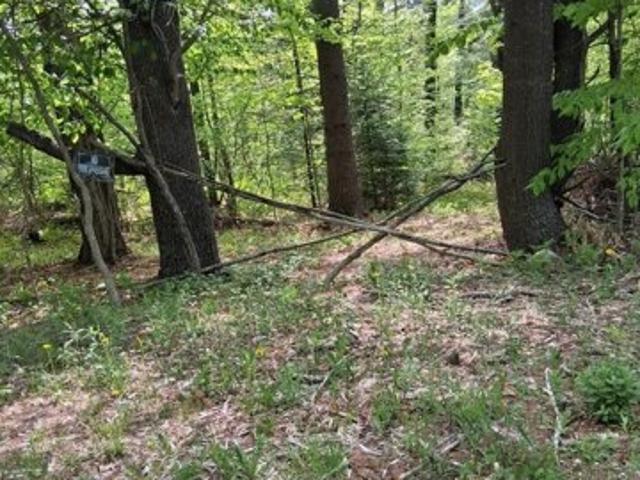 Jaquith Pond Rd Lot, Brownville, Plot For Sale