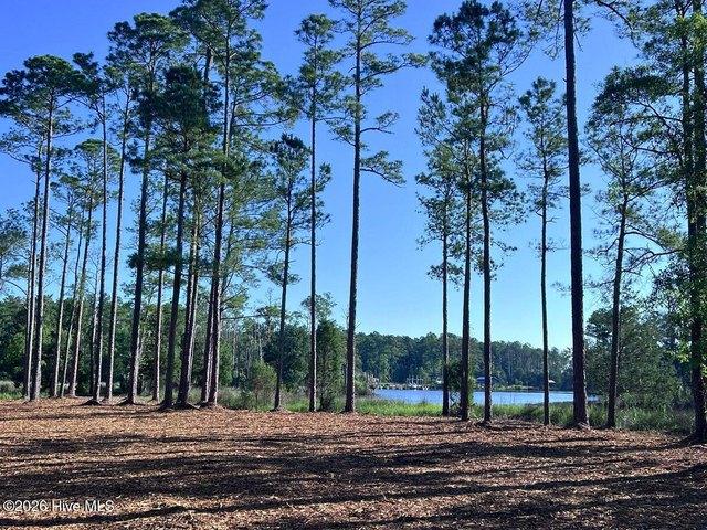 Jarvis Landing Rd, Aurora, NC 27806