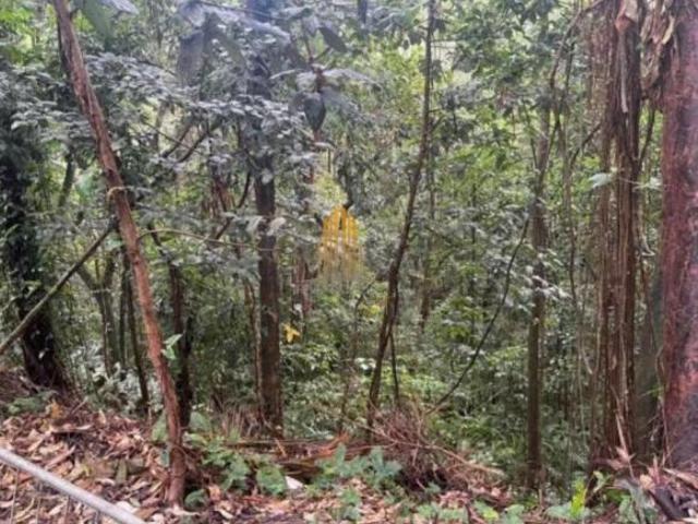Jardim Ampliação, Terreno em de 976m² a venda