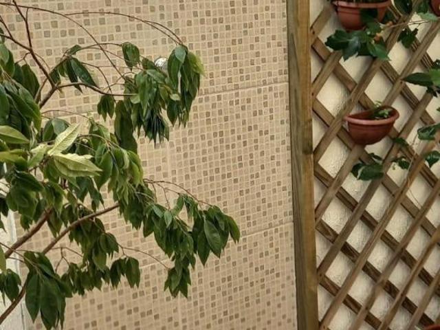 JARDIM BELIZÁRIO NATIVO CLUBE CONDOMÍNIO COM LAZER COMPLETO