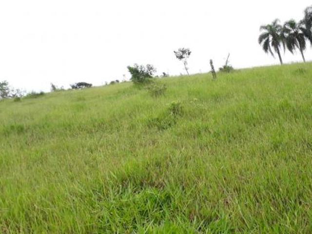 Jarinu area rural na estrada santa cruz medindo 176.740 mil metros