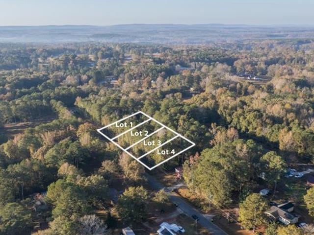 Jarrett Rd Lot 1, Shiloh, GA 31826