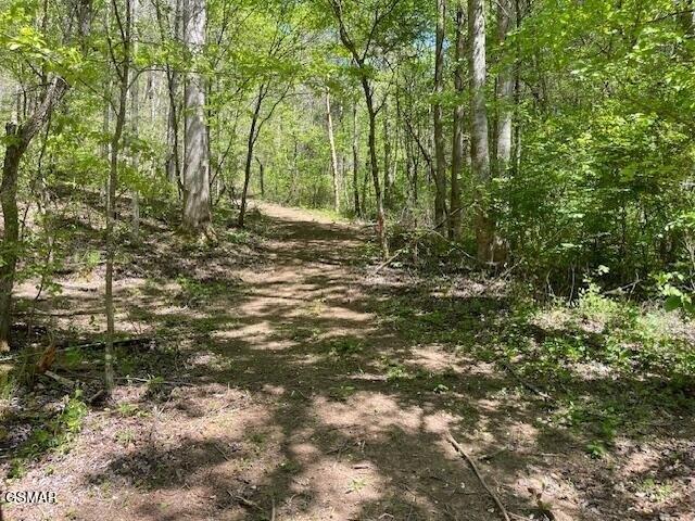 Jason Pl / Jones Cove Rd # Off, Sevierville, TN 37876