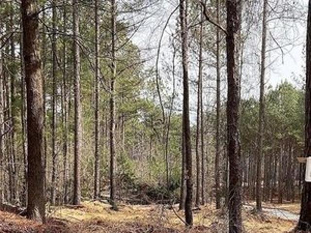 Jaxon Path Lot 5, Dallas, GA 30157