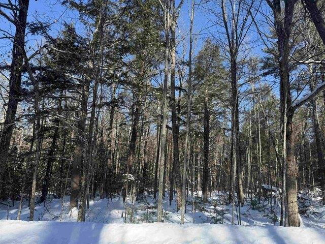 Jay Hill Rd Lot,hartford, Plot For Sale
