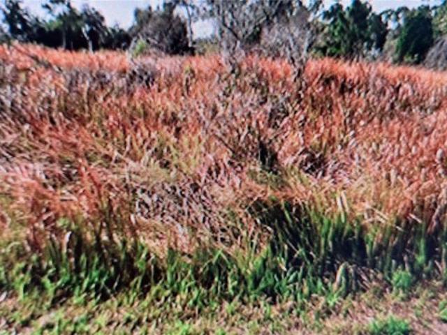 Jaylene Rd, North Port, FL 34288