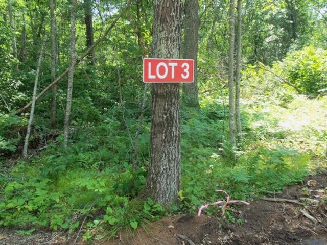 Jbirch Tree Trl Lot 3, Spooner, WI 54801