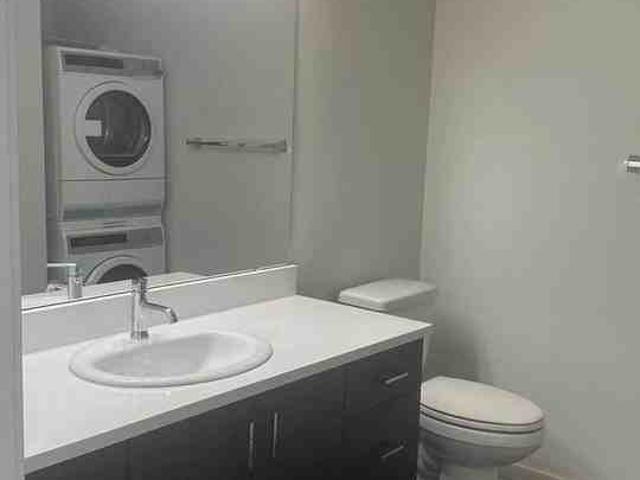 JC0629 North Louie Apartments Studio Apartment for Rent at 7424 N Saint Louis Ave, Portland, OR 97203 St. Johns