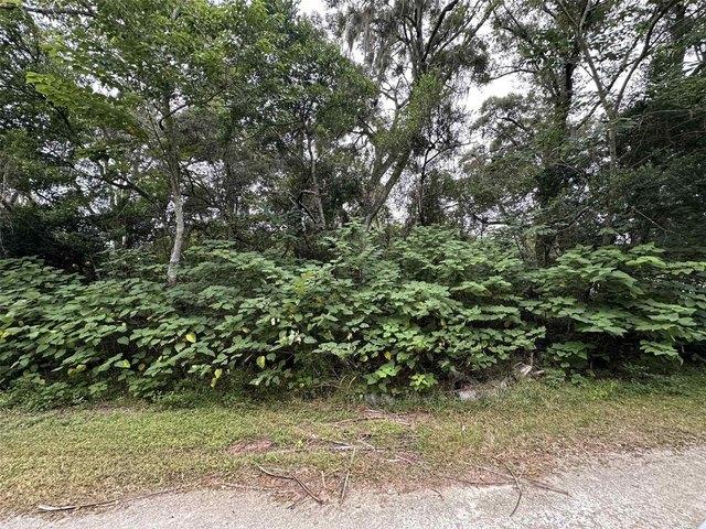 Jenkins Ave, Brooksville, FL 34604