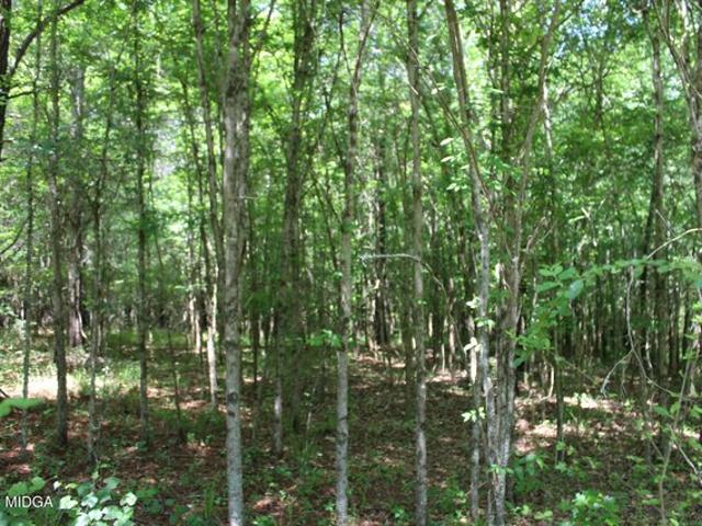 Jenkins Rd Lot 5, Forsyth, GA 31029
