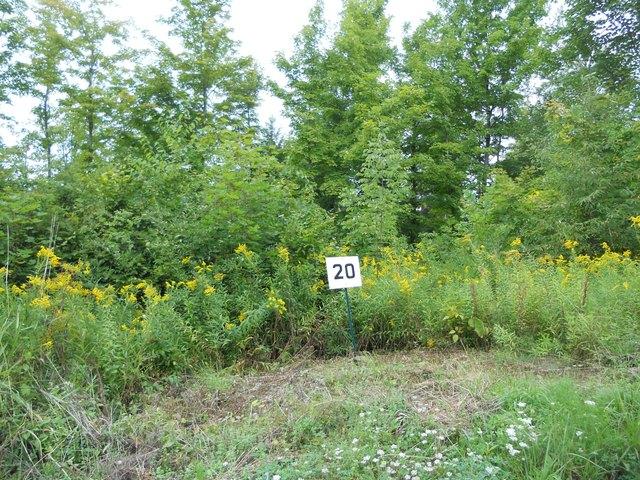 Jenks Rd Lot 20, Cheshire, MA 01225