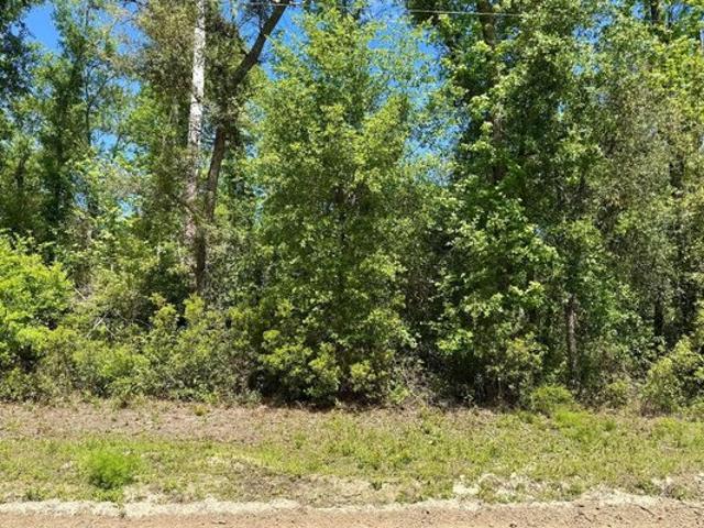NW Blue Jay Trl Lot 41, Jennings, FL 32053