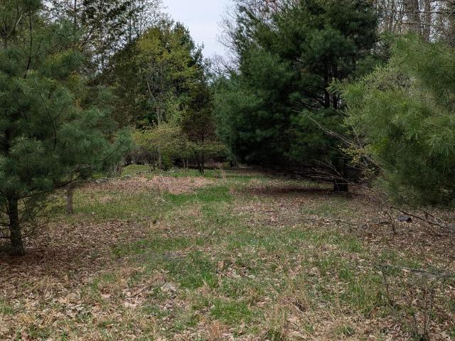 Jennifer Ln 45A Lane