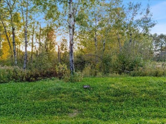 Jenny Farms Ln Lot 1, Hermantown, MN 55810