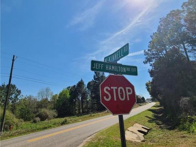 Jeff Hamilton Rd, Mobile, AL 36695