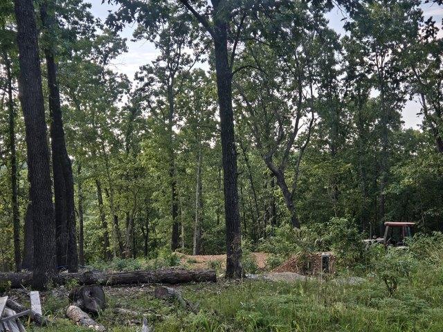 Jeffery Ln Lot 74, Cape Fair, MO 65624