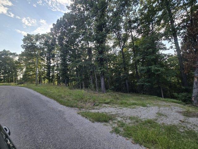 Jeffery Ln Lot 75, Cape Fair, MO 65624