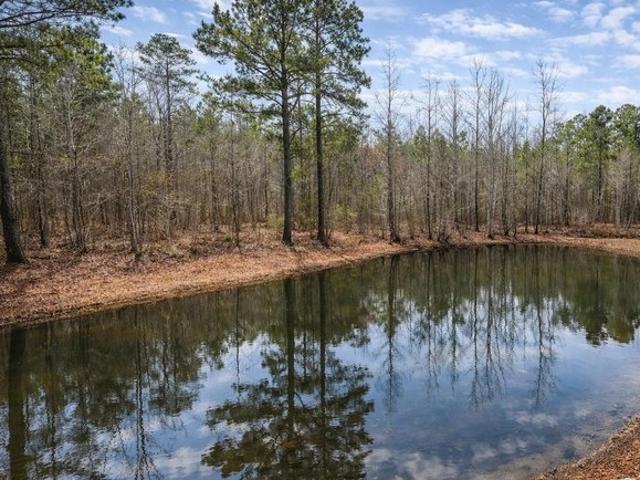 Jefferson Hwy Lot 1, Bumpass, VA 23024