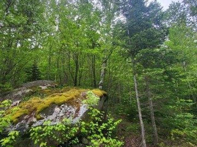 Jefferson NH 03583 104479850