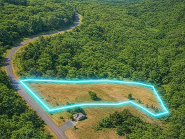 Jeremiah Run Lot 25, Lynch Station, VA 24571