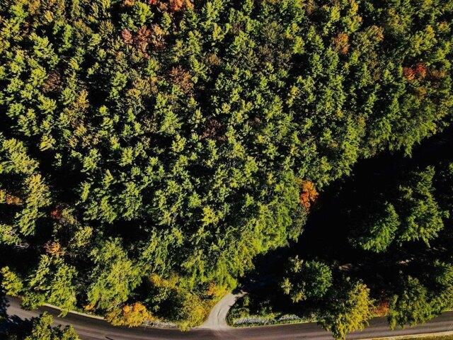 Jericho St, Hartford, Plot For Sale