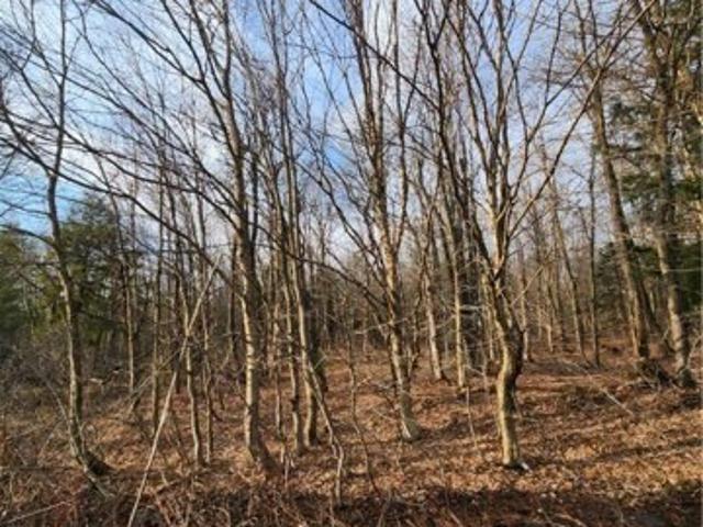 Jess Dr, Redfield, Plot For Sale