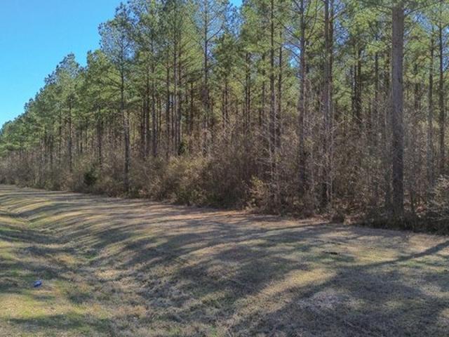 Jess Lyons Rd Lot 2, Columbus, MS 39705