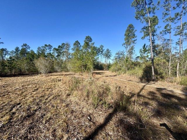 Jessie Williams Rd, Millry, AL 36558