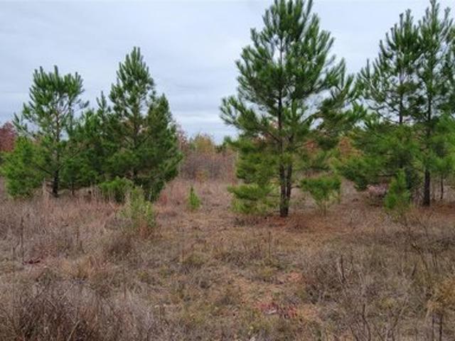 Jewell Gooch Rd, Marshall, TX 75670