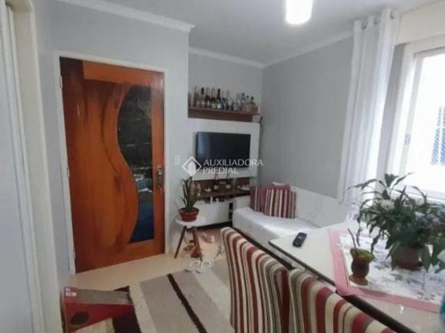 JK bairro Vila Ipiranga
