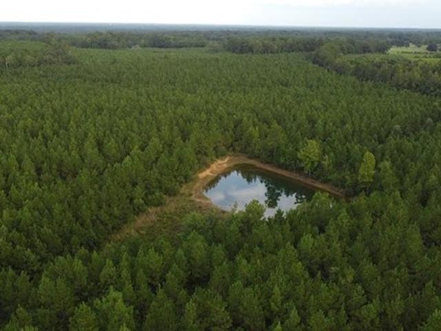 Jim Edwards Rd Lot 0, Franklinton, LA 70438