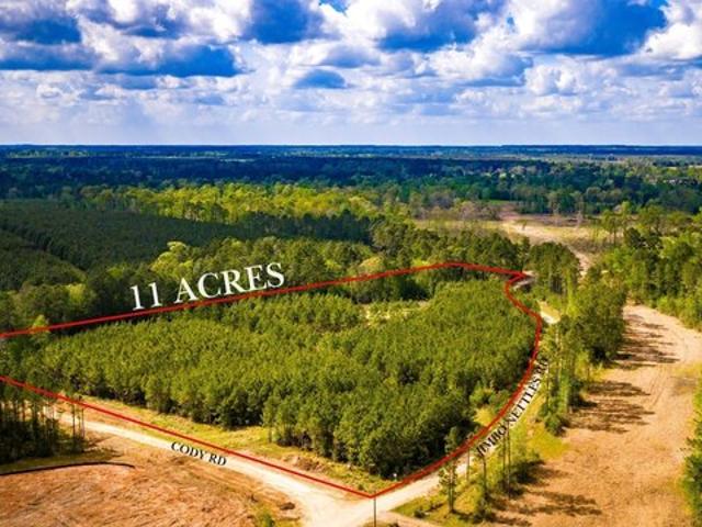 Jimbo Nettles Rd, Livingston, TX 77351
