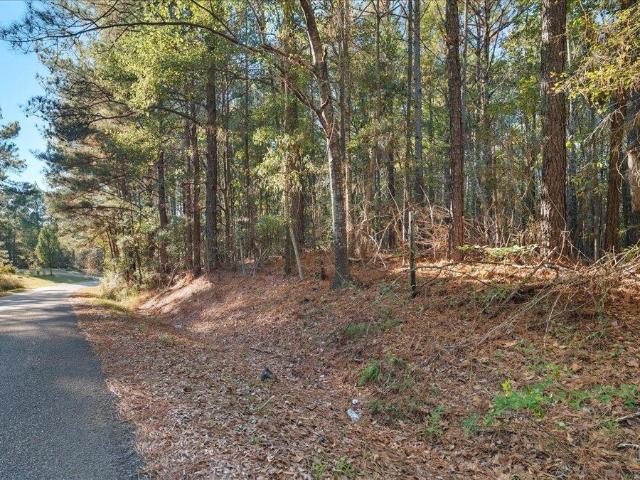 Jimmie Drive, Forest, MS 39074