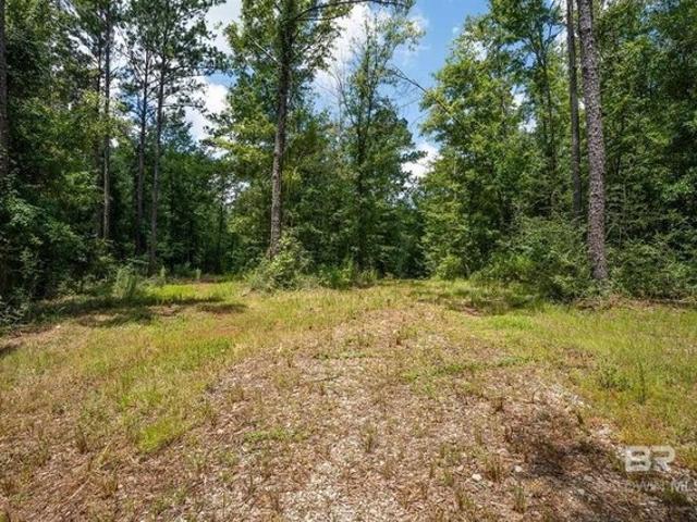 Jimmy Faulkner Dr, Spanish Fort, AL 36527