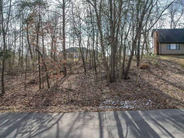 Jingle Bell Ln, Lot 123