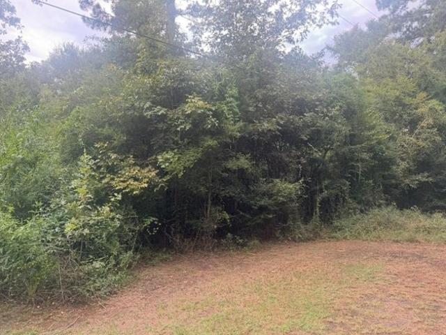 Jill Ln, Livingston, TX 77351