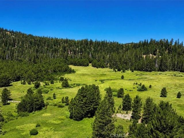 Jones Vly, Sierraville, CA 96126