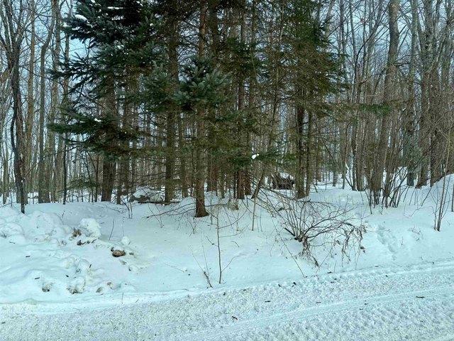 Jones Ave, Wabeno, WI 54566