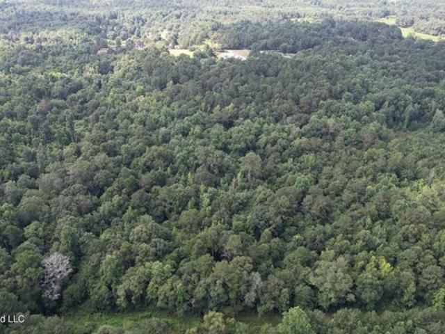 Jones Chapel Rd, Collins, MS 39428