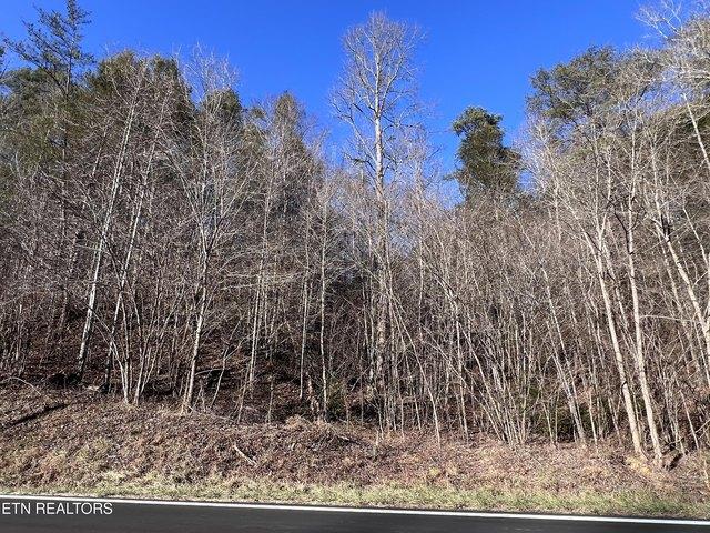 Jones Cove Rd Lots 17 & 18, Sevierville, TN 37876