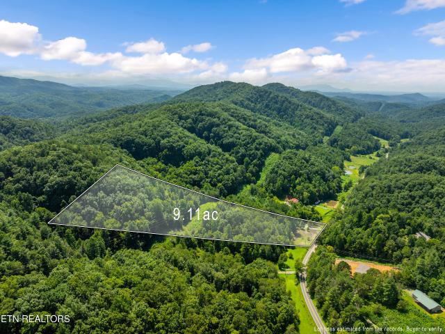 Jones Cove Rd, Sevierville, TN 37876