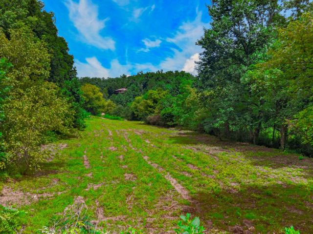 Jones Cove Rd, Sevierville, TN 37876