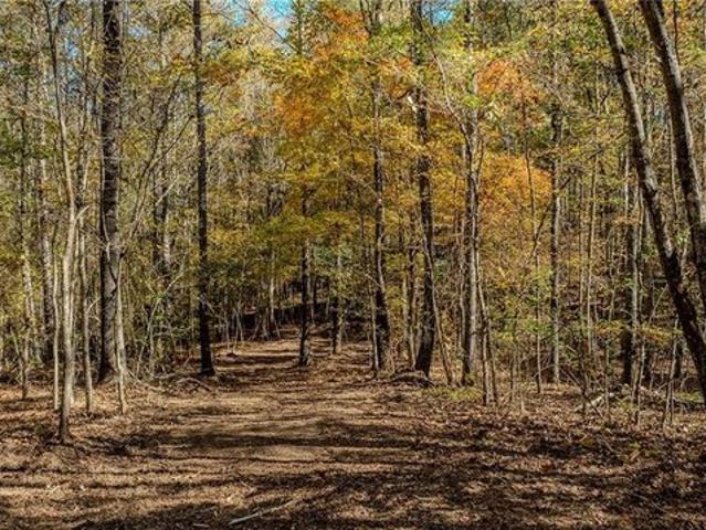 Jones Ferry Rd, Chattahoochee Hills, GA 30268