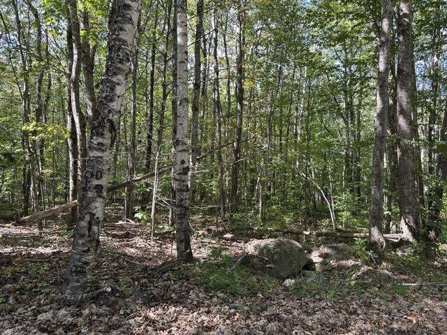 Jones Hill Rd, Appleton, Plot For Sale