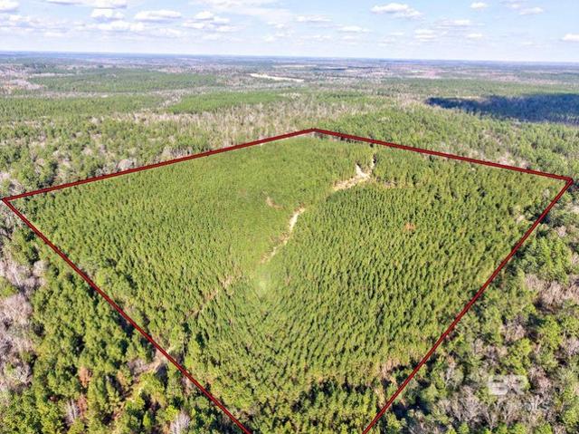 Jones Ln, Bay Minette, AL 36507