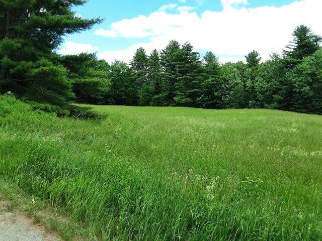 Jones Rd, Somerville, Plot For Sale
