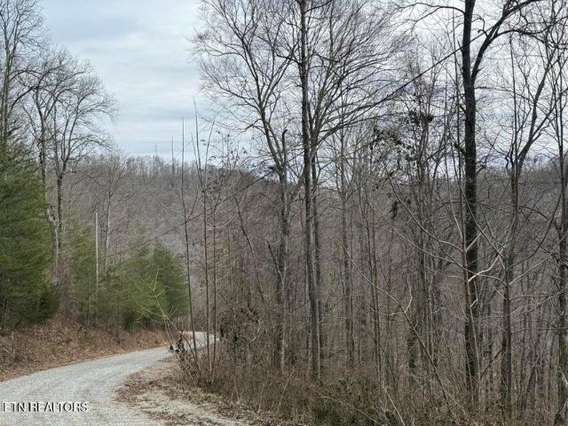 Jones ridge rd, speedwell, tn 37870