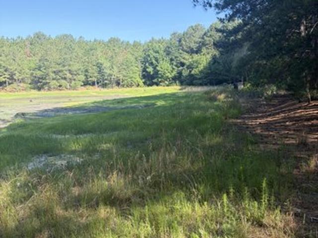 Jones Spring Church Rd, Ellerbe, NC 28338