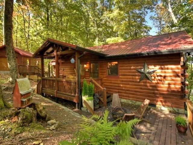 Joanna Ct, Cherry Log, Home For Sale